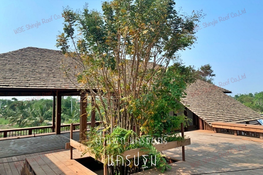 Cedar Roof หลังคาไม้ซีดาร์ นำเข้าจากแคนนาดา WSE Shingle Roof